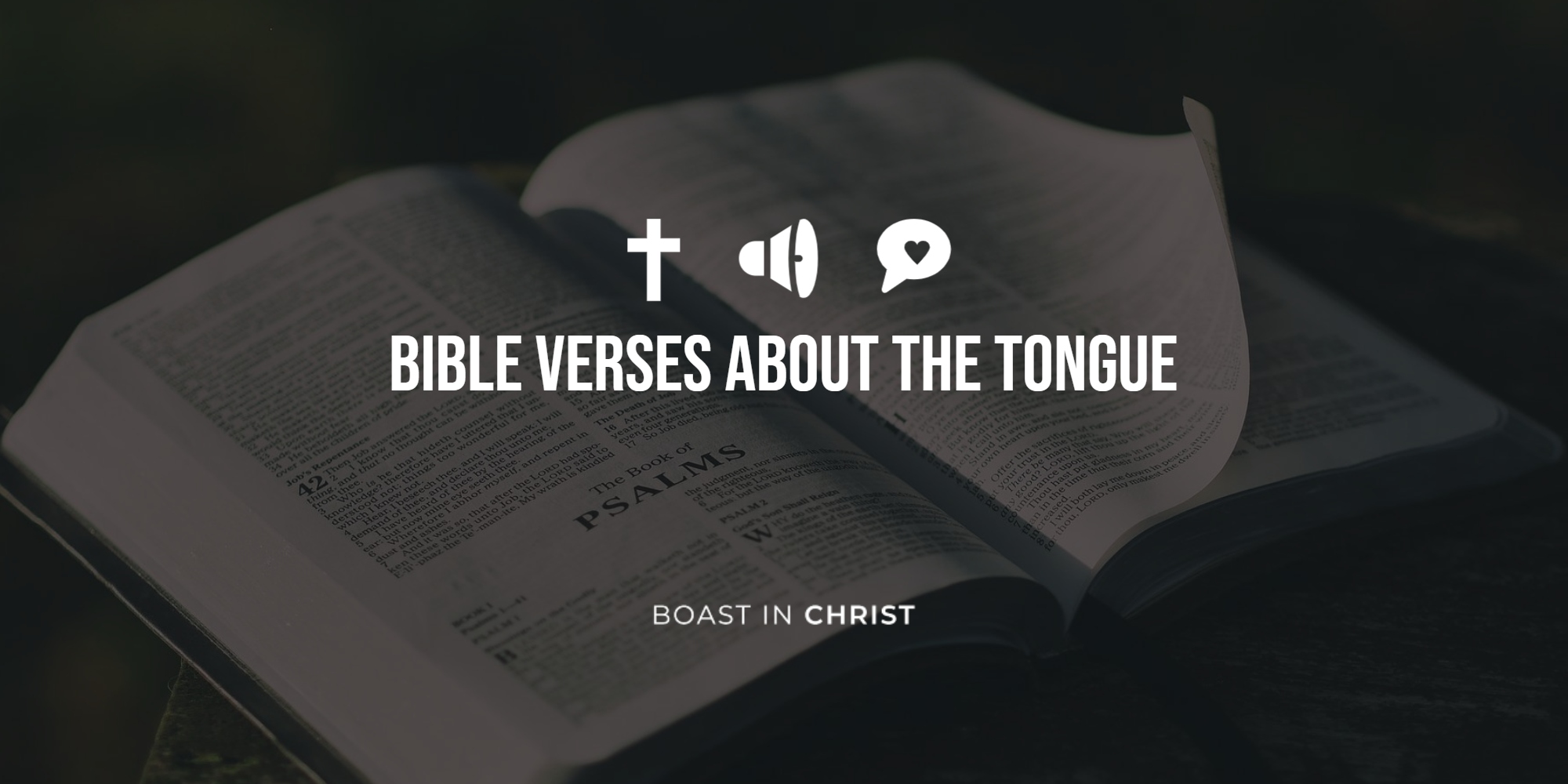 10+ Bible Verses About the Tongue